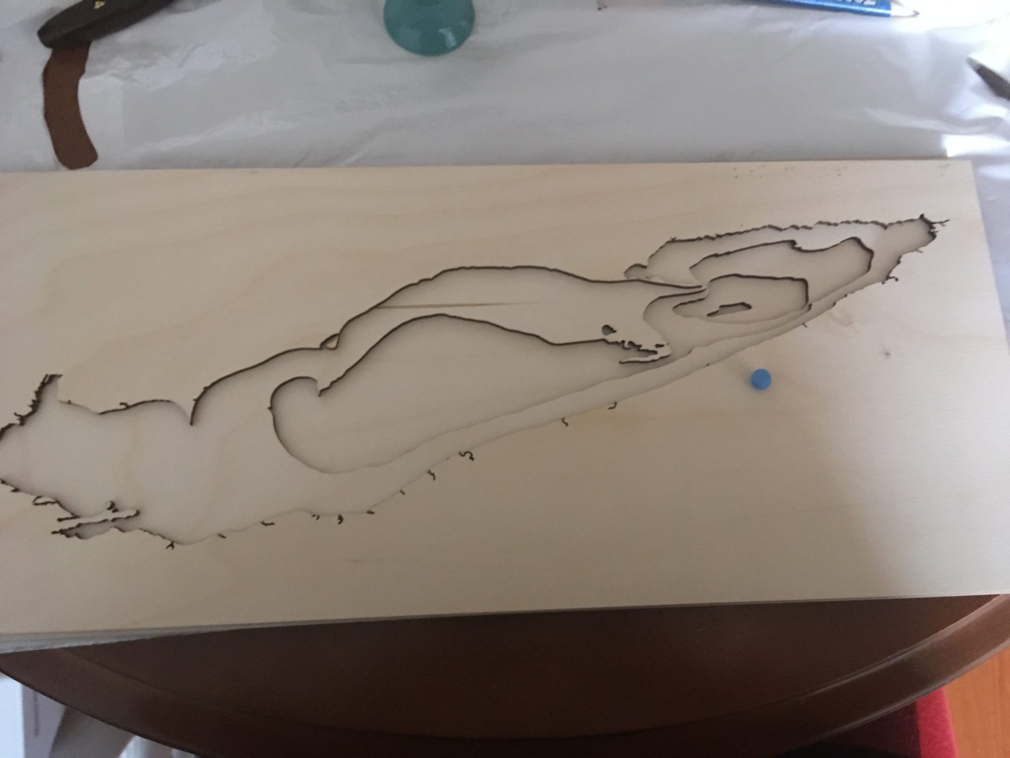 Visualizing Freshwater Resources: A Laser Cut Model of Lake Erie with ...